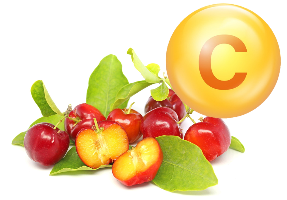 Hautpflege kaufen | ELLIS SPRINGS