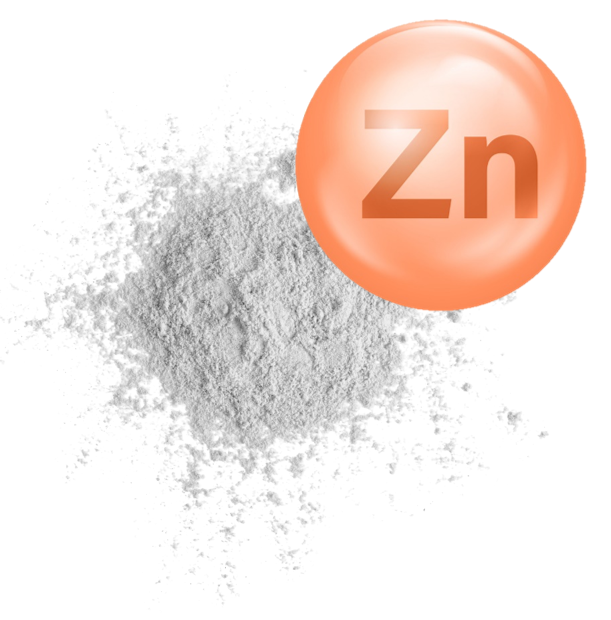 Premium Beauty Produkte online bestellen | ELLIS SPRINGS