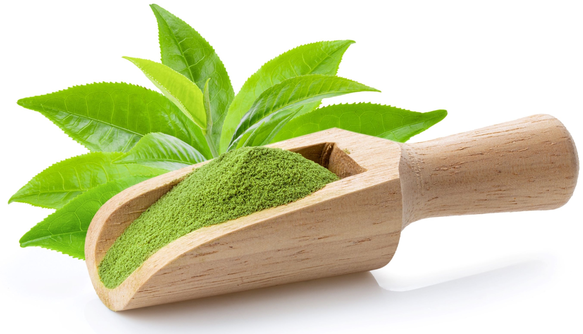 Hautpflege kaufen | ELLIS SPRINGS